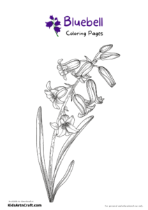 Bluebell Coloring Pages For Kids – Free Printables - Kids Art & Craft