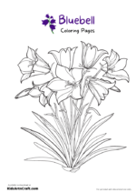Bluebell Coloring Pages For Kids – Free Printables - Kids Art & Craft