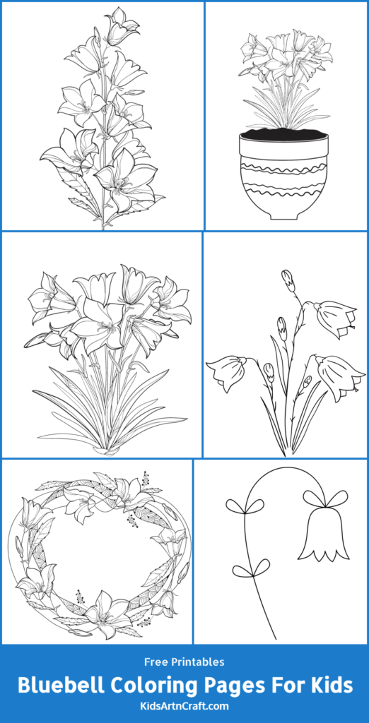 Bluebell Coloring Pages For Kids – Free Printables - Kids Art & Craft
