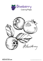 Blueberry Coloring Pages For Kids – Free Printables - Kids Art & Craft