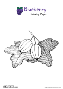 Blueberry Coloring Pages For Kids – Free Printables - Kids Art & Craft