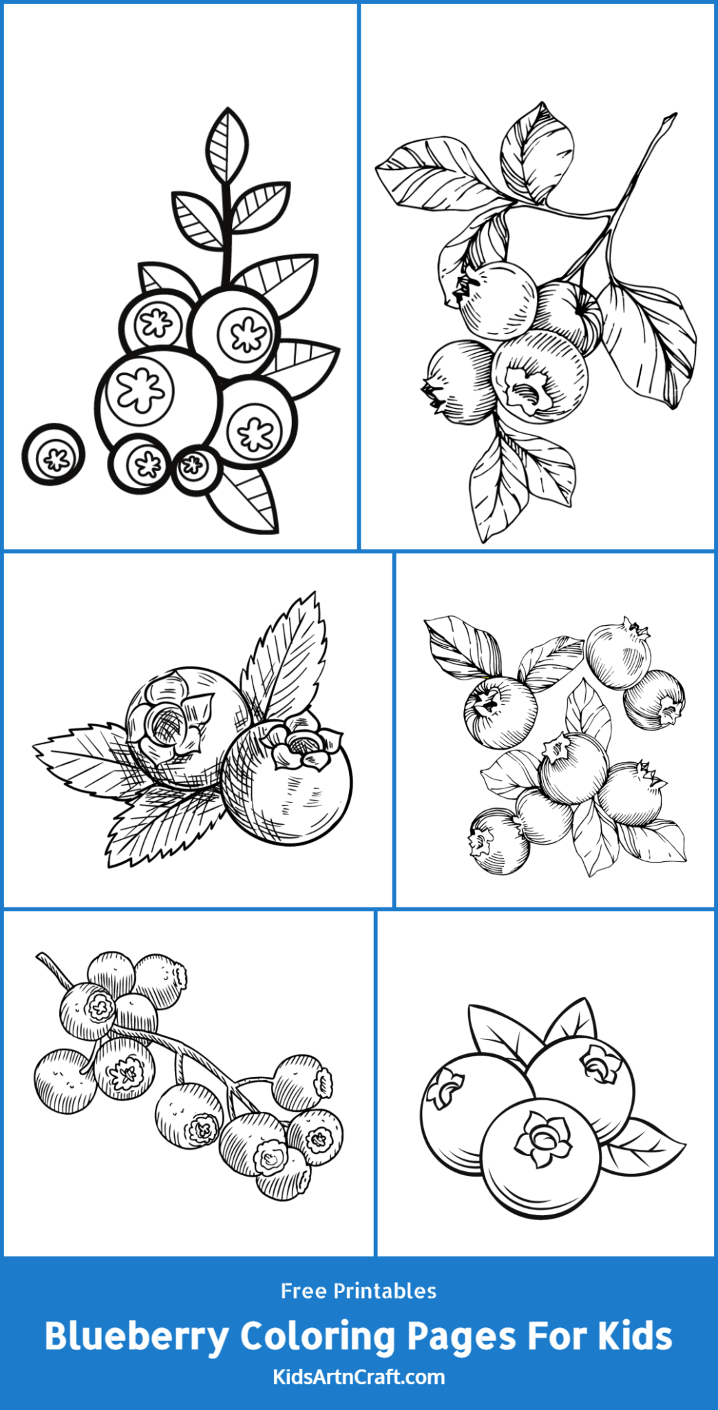 Blueberry Coloring Pages For Kids – Free Printables - Kids Art & Craft