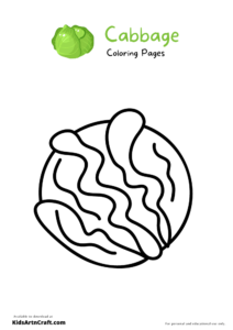 Cabbage Coloring Pages For Kids – Free Printables - Kids Art & Craft