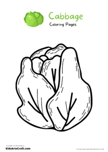 Cabbage Coloring Pages For Kids – Free Printables - Kids Art & Craft