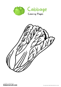 Cabbage Coloring Pages For Kids – Free Printables - Kids Art & Craft