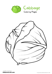 Cabbage Coloring Pages For Kids – Free Printables - Kids Art & Craft