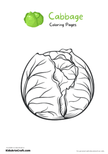 Cabbage Coloring Pages For Kids – Free Printables - Kids Art & Craft