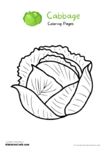 Cabbage Coloring Pages For Kids – Free Printables - Kids Art & Craft