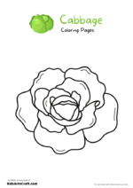 Cabbage Coloring Pages For Kids – Free Printables - Kids Art & Craft