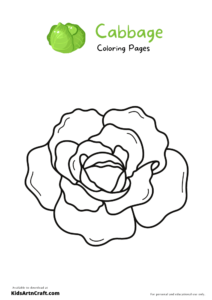 Cabbage Coloring Pages For Kids – Free Printables - Kids Art & Craft