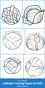 Cabbage Coloring Pages For Kids – Free Printables - Kids Art & Craft