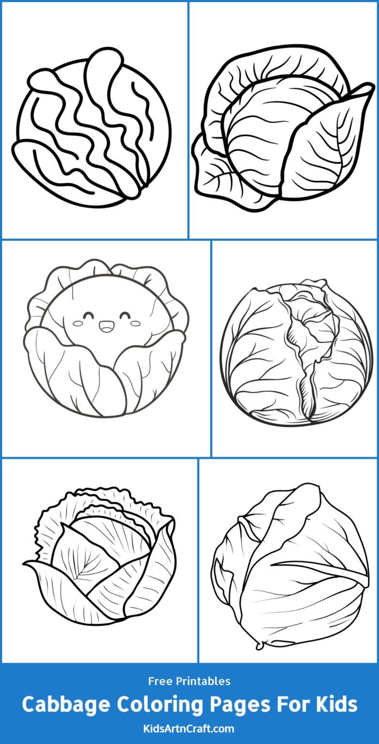 Cabbage Coloring Pages For Kids – Free Printables - Kids Art & Craft