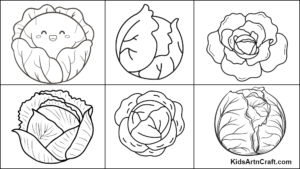 Cabbage Coloring Pages For Kids – Free Printables - Kids Art & Craft