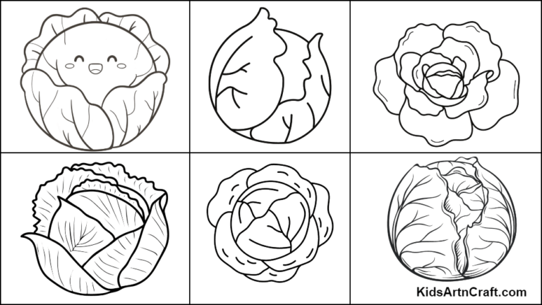 Cabbage Coloring Pages For Kids – Free Printables - Kids Art & Craft