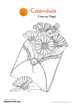 Calendula Coloring Pages For Kids – Free Printables - Kids Art & Craft