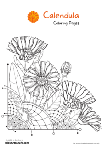 Calendula Coloring Pages For Kids – Free Printables - Kids Art & Craft