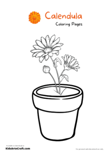 Calendula Coloring Pages For Kids – Free Printables - Kids Art & Craft