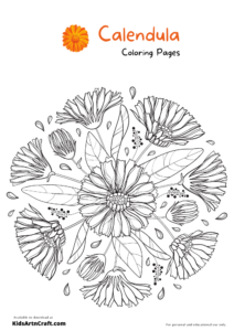 Calendula Coloring Pages For Kids – Free Printables - Kids Art & Craft