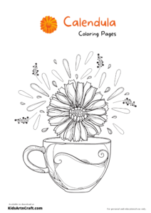 Calendula Coloring Pages For Kids – Free Printables - Kids Art & Craft