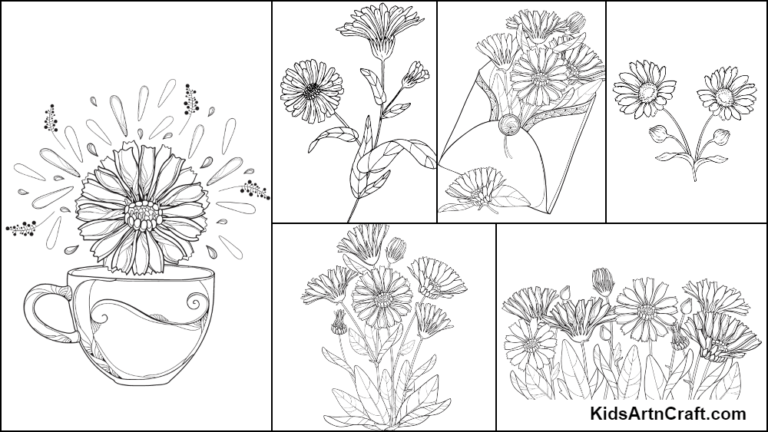 Calendula Coloring Pages For Kids – Free Printables - Kids Art & Craft