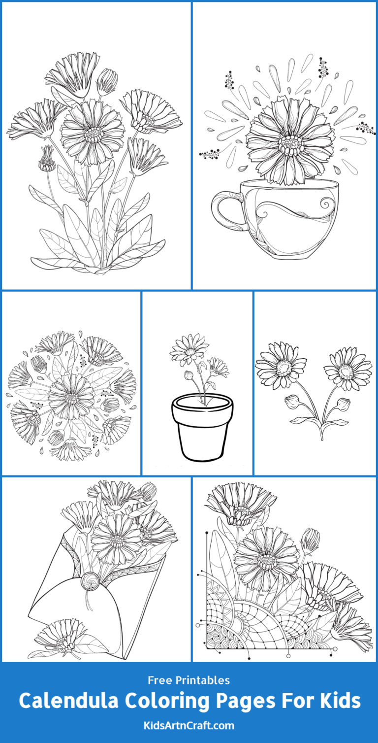Calendula Coloring Pages For Kids – Free Printables - Kids Art & Craft