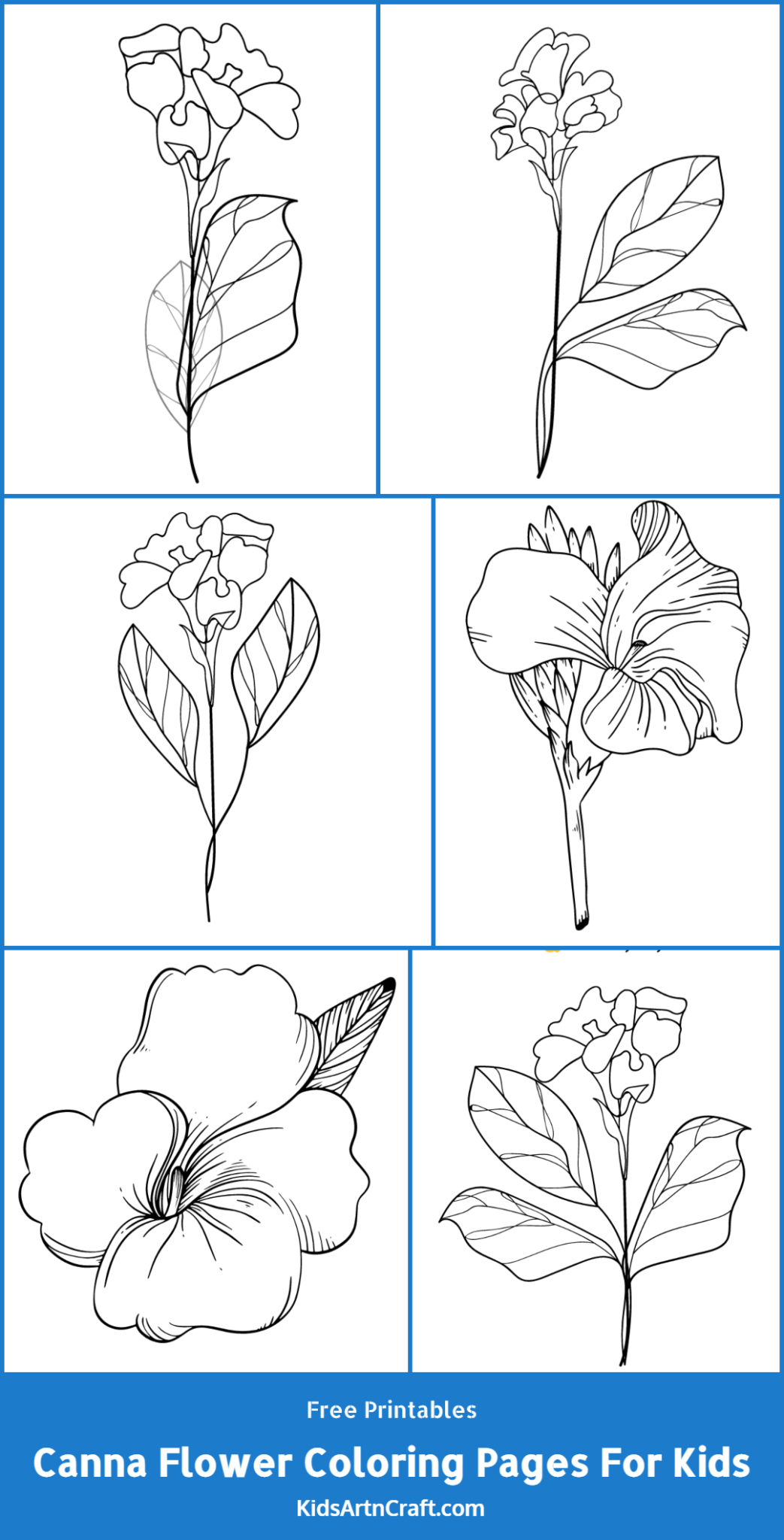 Canna Flower Coloring Pages For Kids – Free Printables - Kids Art & Craft