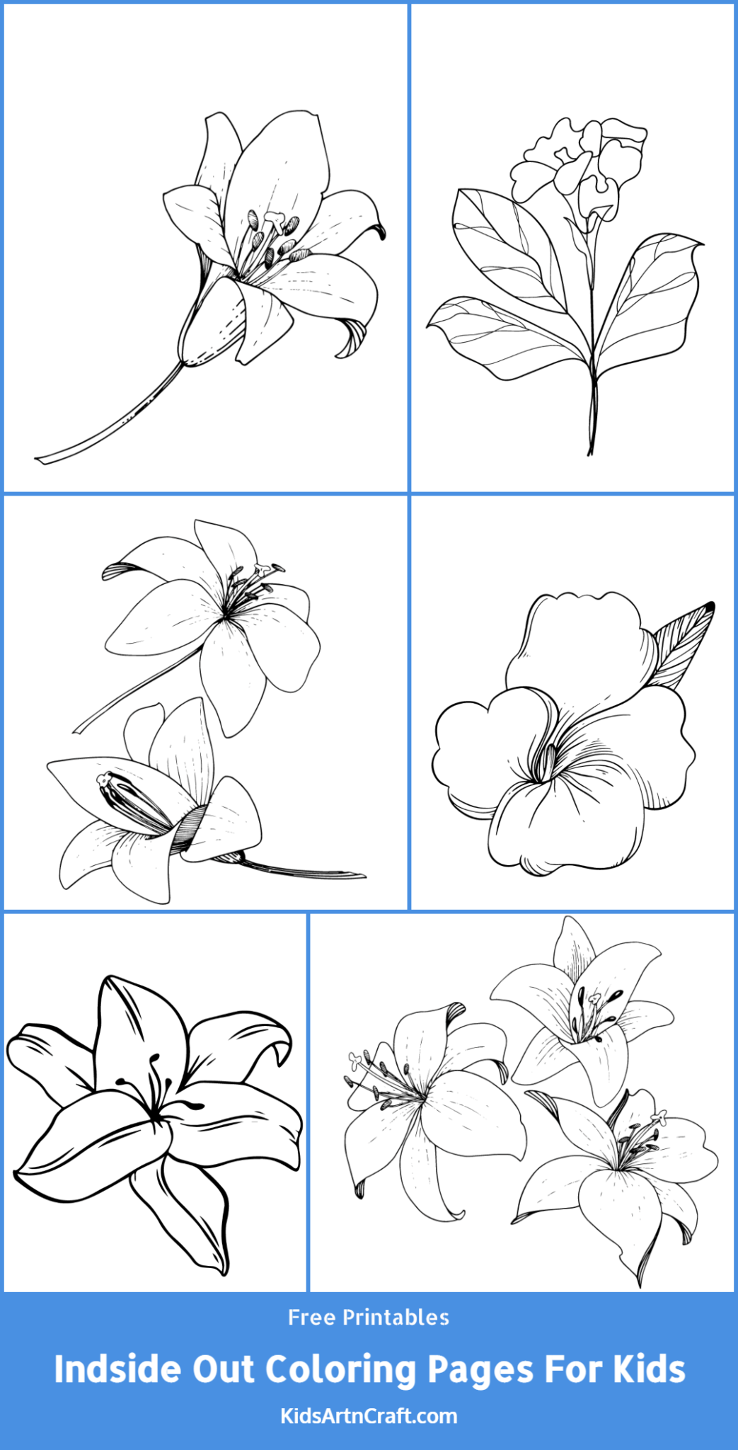 Canna Lily Coloring Pages For Kids – Free Printables - Kids Art & Craft