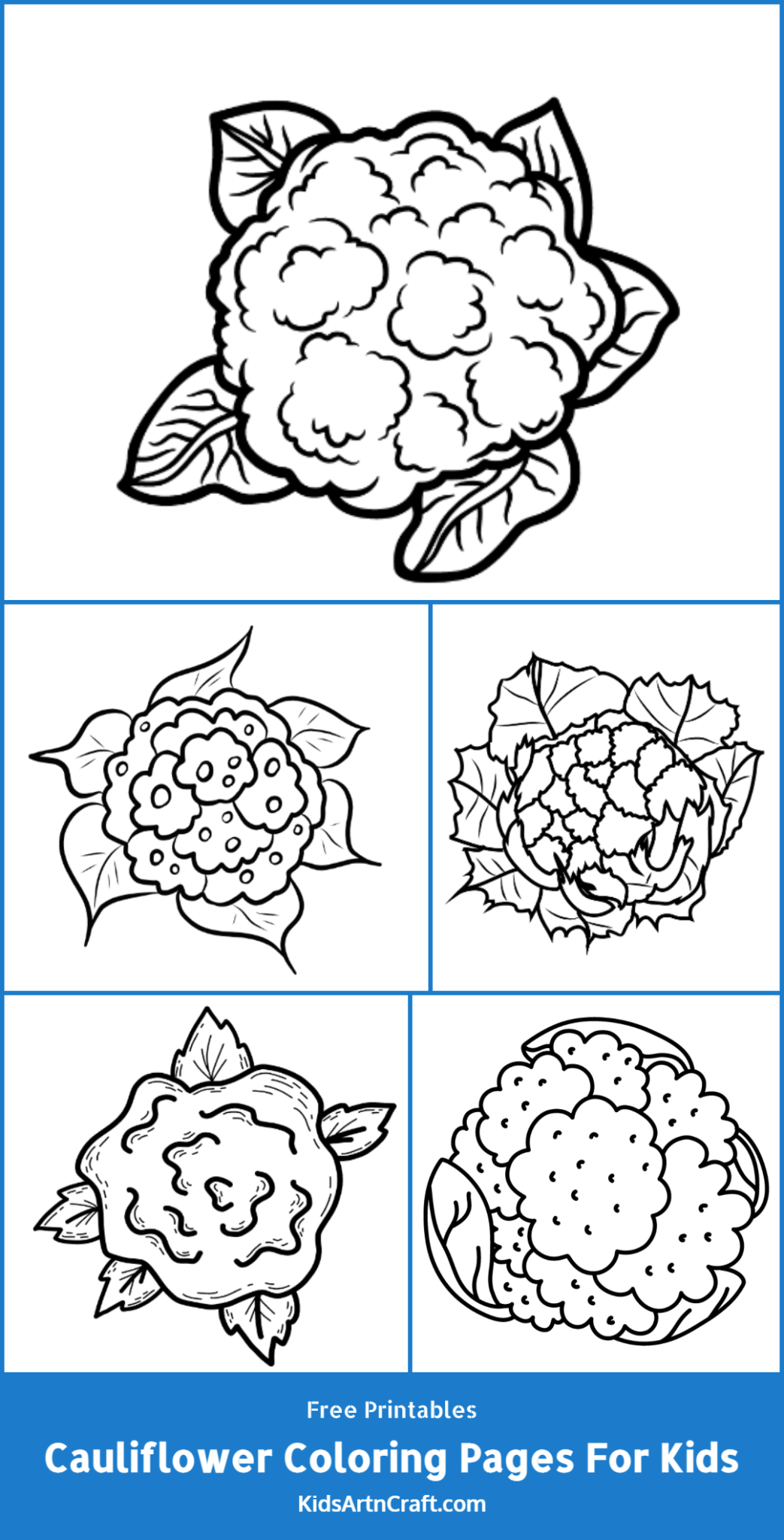 Cauliflower Coloring Pages For Kids – Free Printables - Kids Art & Craft