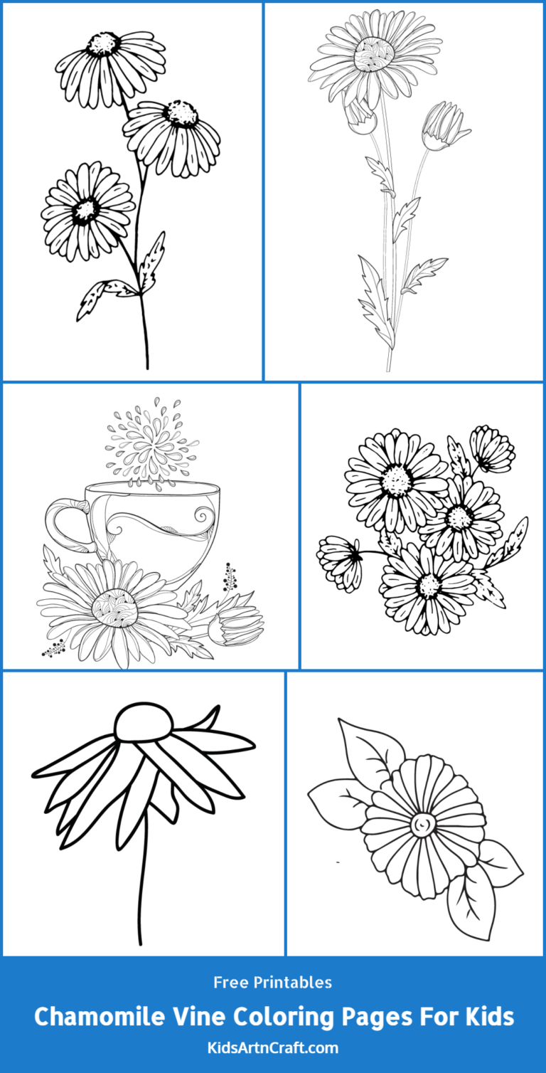 Chamomile Vine Coloring Pages For Kids – Free Printables - Kids Art & Craft
