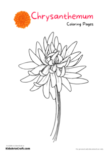 Chrysanthemum Coloring Pages For Kids – Free Printables - Kids Art & Craft