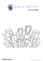 Cobra Saffron Coloring Pages For Kids – Free Printables - Kids Art & Craft