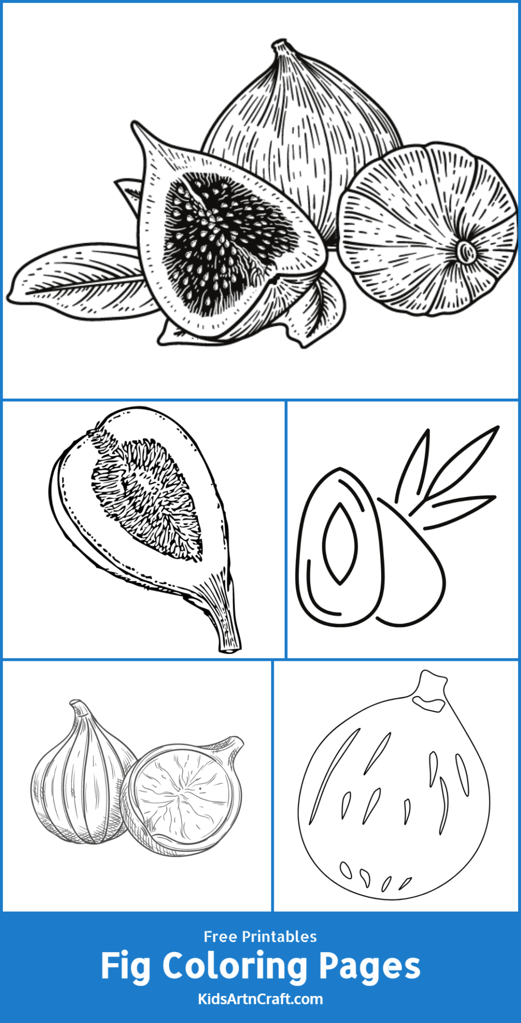 Fig Coloring Pages For Kids – Free Printables - Kids Art & Craft