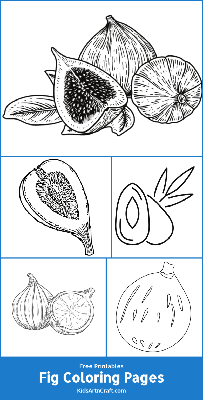 Fig Coloring Pages For Kids – Free Printables - Kids Art & Craft