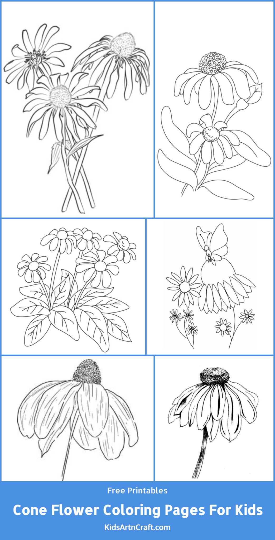 Cone Flower Coloring Pages For Kids – Free Printables - Kids Art & Craft
