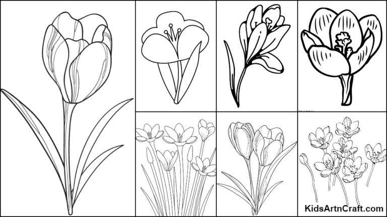 Crocus Coloring Pages For Kids – Free Printables - Kids Art & Craft