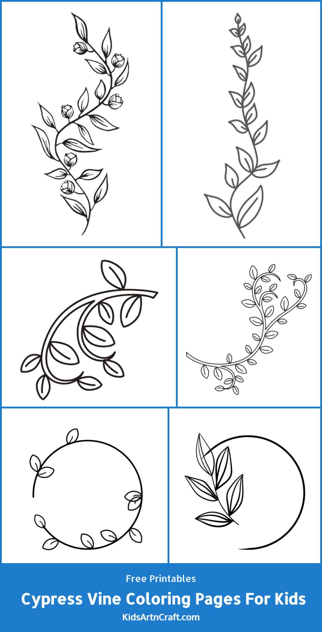 Cypress Vine Coloring Pages For Kids – Free Printables - Kids Art & Craft