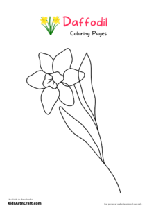Daffodil Coloring Pages For Kids – Free Printables - Kids Art & Craft