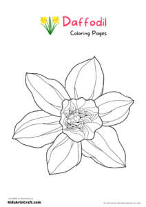 Daffodil Coloring Pages For Kids – Free Printables - Kids Art & Craft