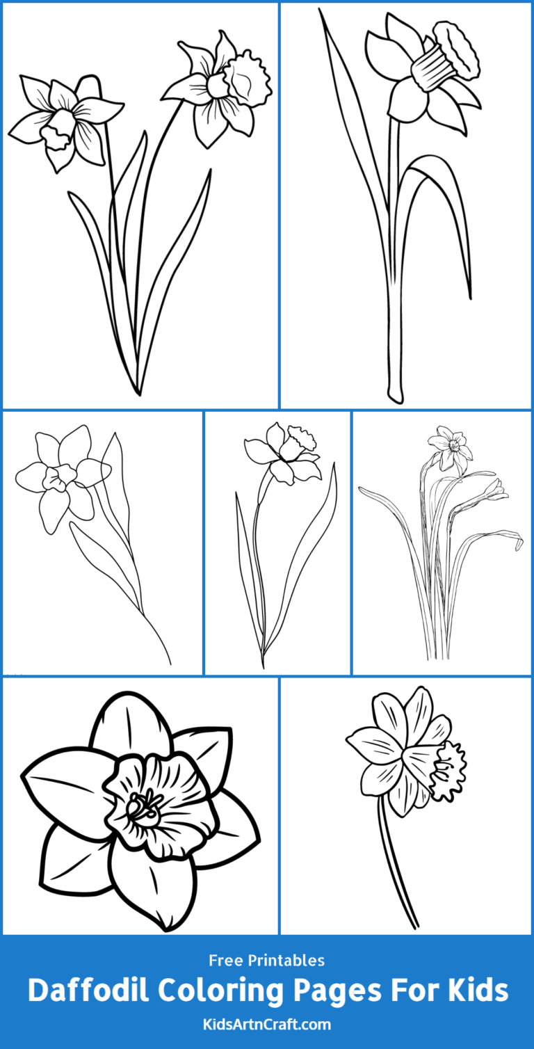 Daffodil Coloring Pages For Kids – Free Printables - Kids Art & Craft