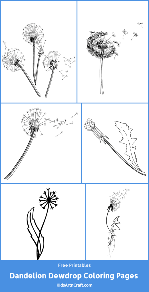 Dandelion Dewdrop Coloring Pages For Kids – Free Printables - Kids Art ...
