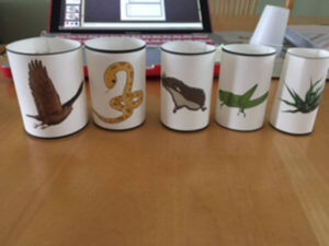 Food Webs & Food Chains Activities for Kids - Kids Art & Craft