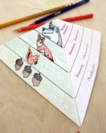 Food Webs & Food Chains Activities for Kids - Kids Art & Craft