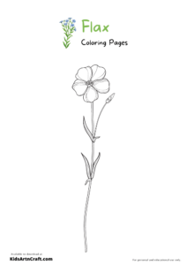 Flax Coloring Pages For Kids – Free Printables - Kids Art & Craft