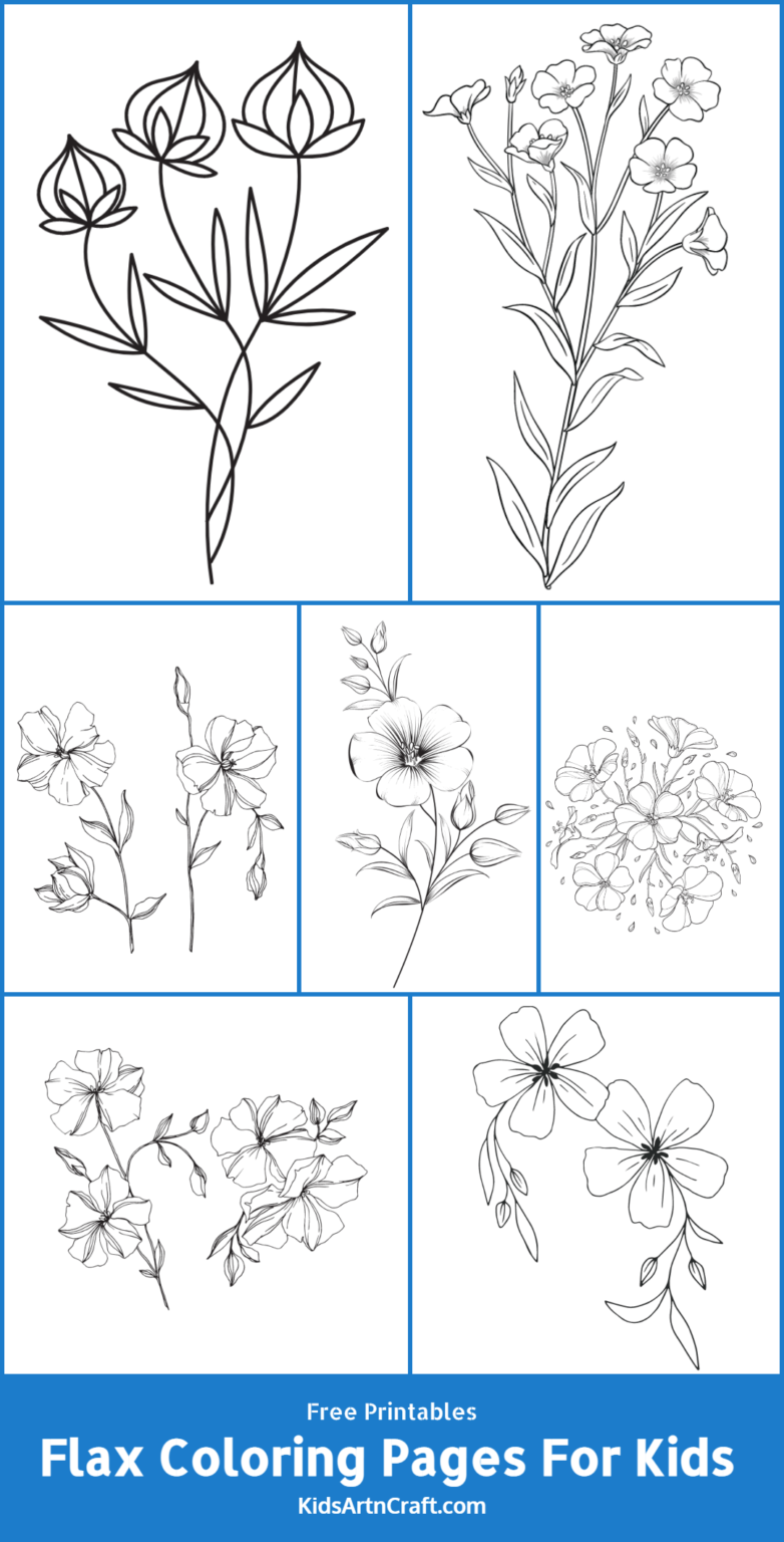 Flax Coloring Pages For Kids – Free Printables - Kids Art & Craft
