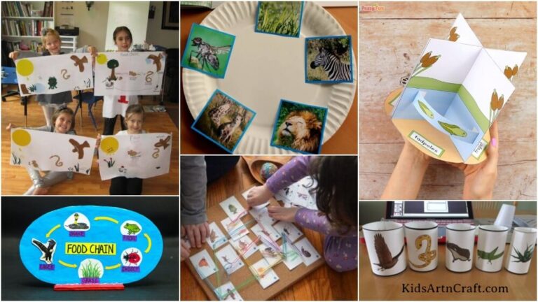 Food Webs & Food Chains Activities for Kids - Kids Art & Craft