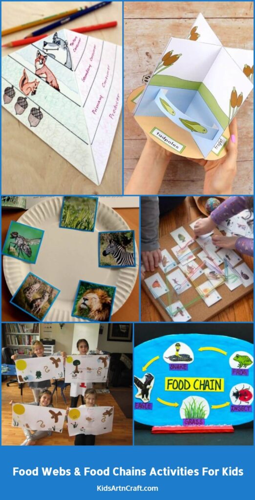 Food Webs & Food Chains Activities for Kids - Kids Art & Craft