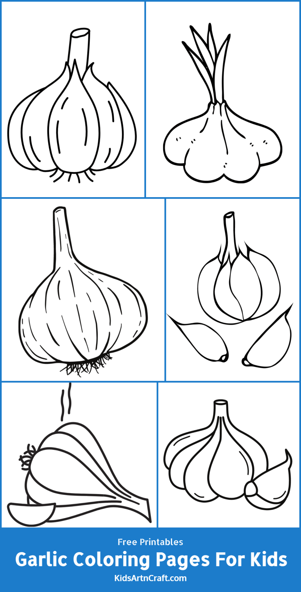 Garlic Coloring Pages For Kids – Free Printables - Kids Art & Craft
