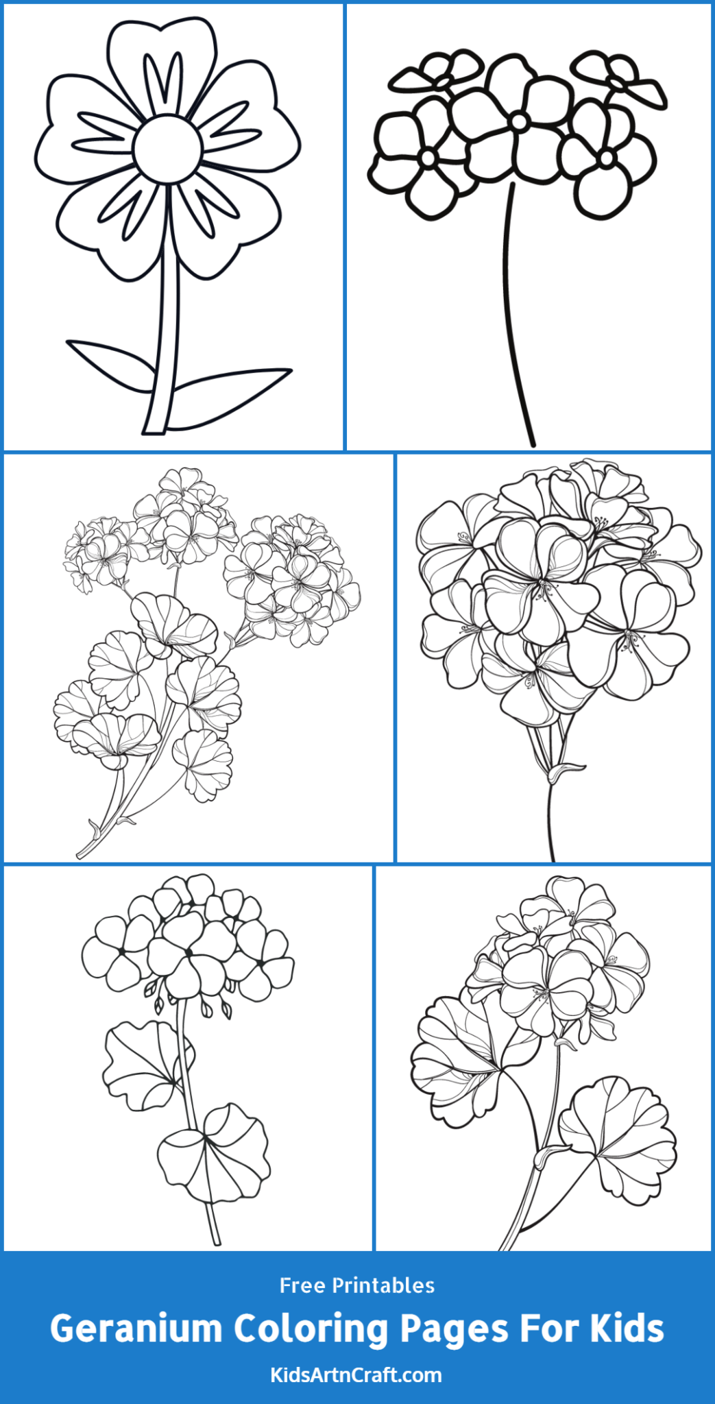 Geranium Coloring Pages For Kids – Free Printables - Kids Art & Craft