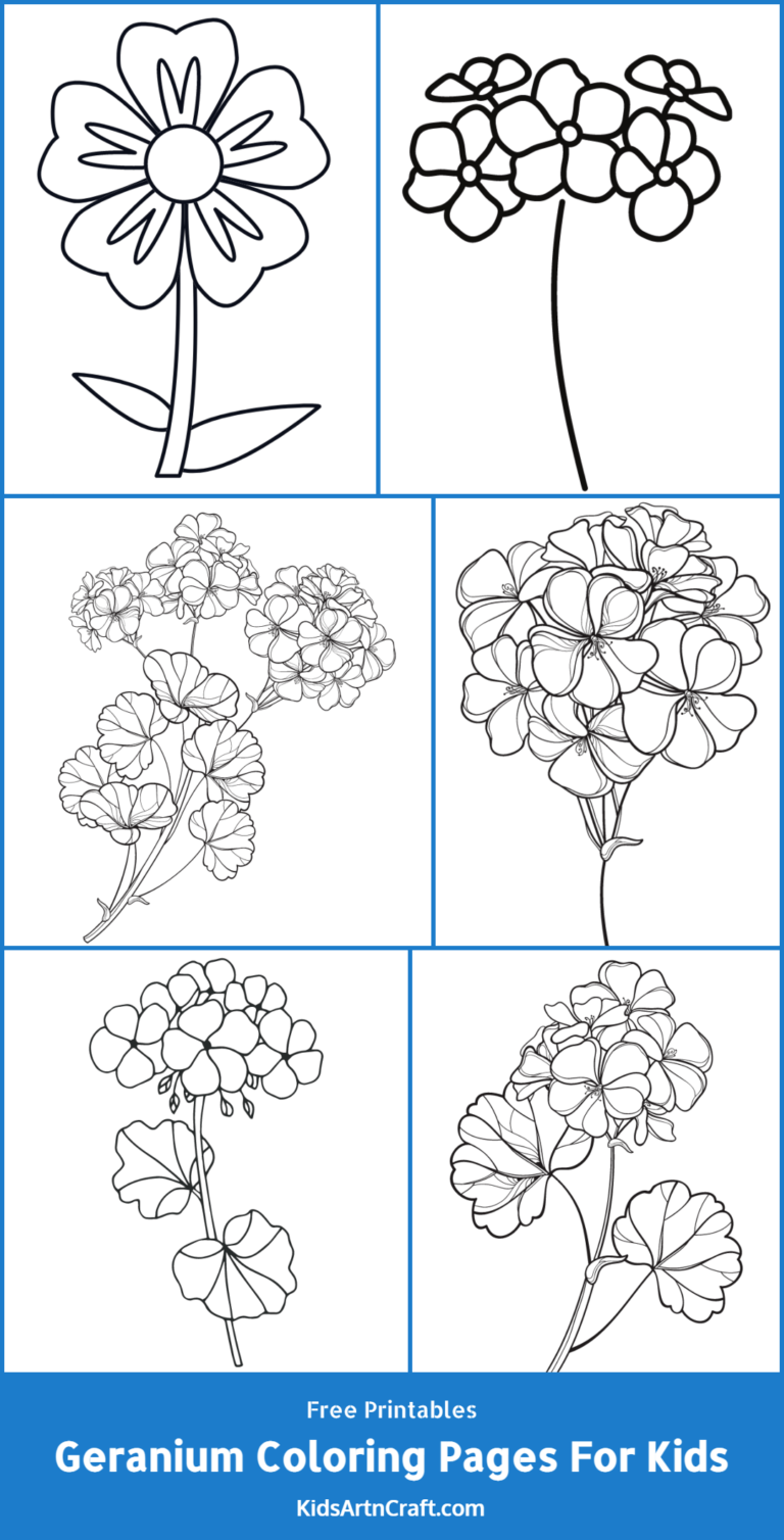 Geranium Coloring Pages For Kids – Free Printables - Kids Art & Craft