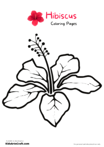 Hibiscus Coloring Pages For Kids – Free Printables - Kids Art & Craft